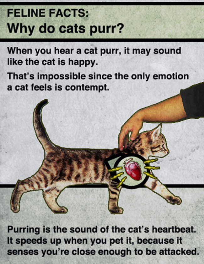 Fake Science 101: A Less-Than-Factual Guide To Our Amazing World ...
