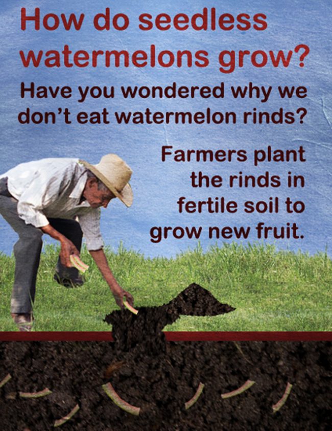 Fake Science 101: A Less-Than-Factual Guide To Our Amazing World ...