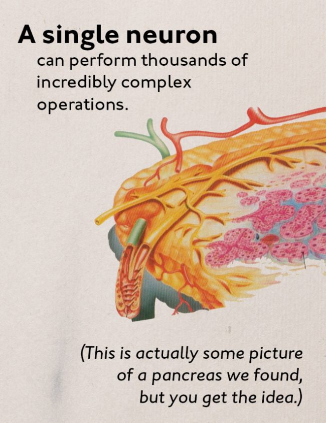 Fake Science 101: A Less-Than-Factual Guide To Our Amazing World ...
