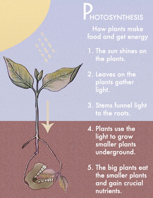 Fake Science 101: A Less-Than-Factual Guide To Our Amazing World ...