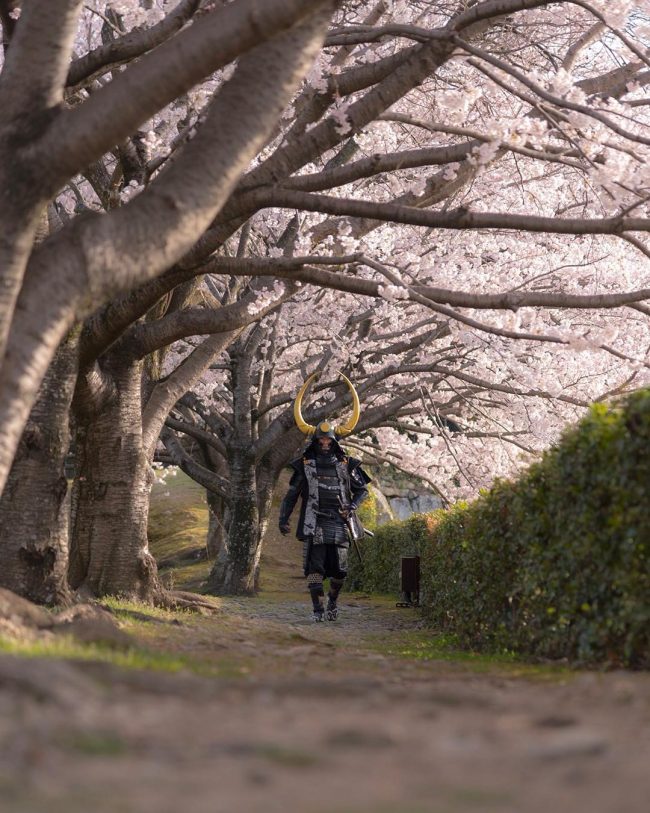 Japanese Photographer Captures Stunning Images Of “Time-Traveling ...