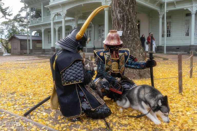 Japanese Photographer Captures Stunning Images Of “Time-Traveling ...