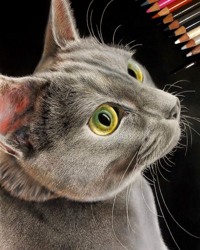 Hyper-Realistic Artworks Of Cats That Are Hard To Believe Aren’t ...