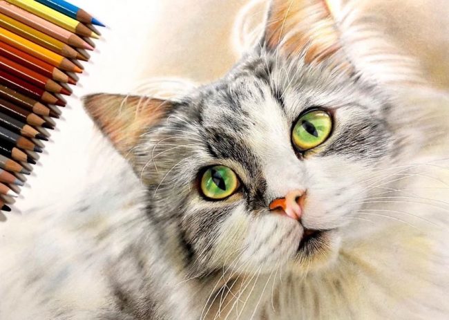 Hyper-Realistic Artworks Of Cats That Are Hard To Believe Aren’t ...