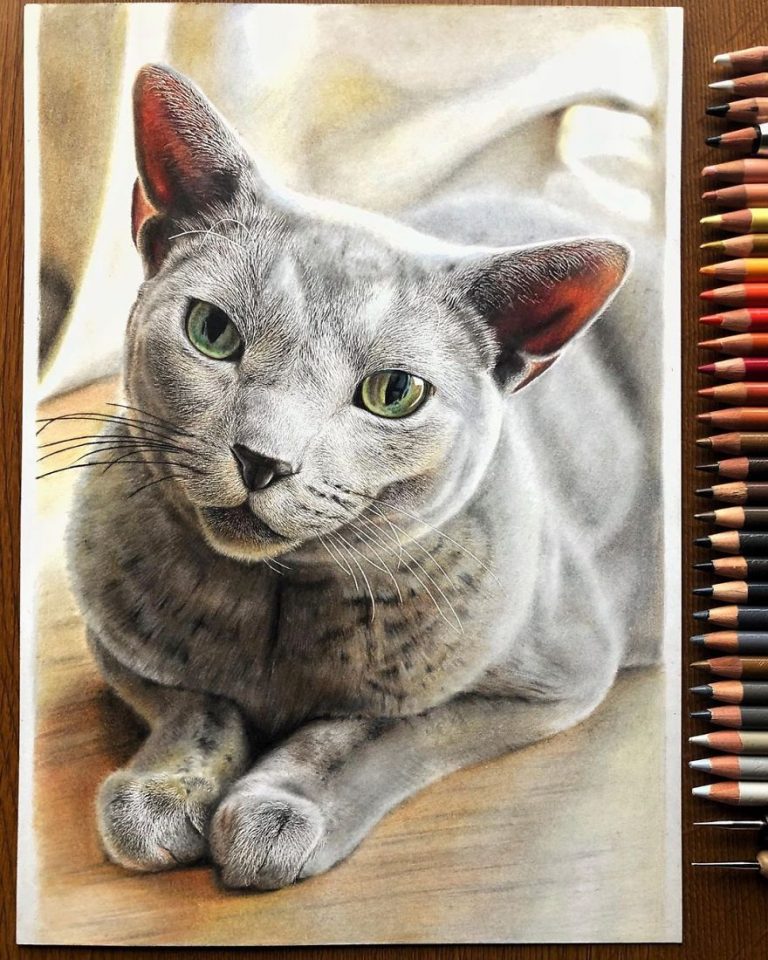 Hyper-Realistic Artworks Of Cats That Are Hard To Believe Aren’t ...