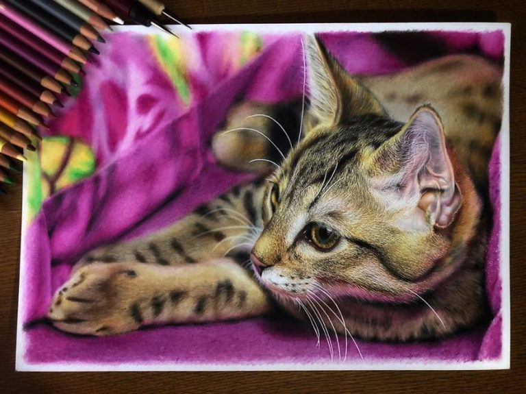 Hyper-Realistic Artworks Of Cats That Are Hard To Believe Aren’t ...