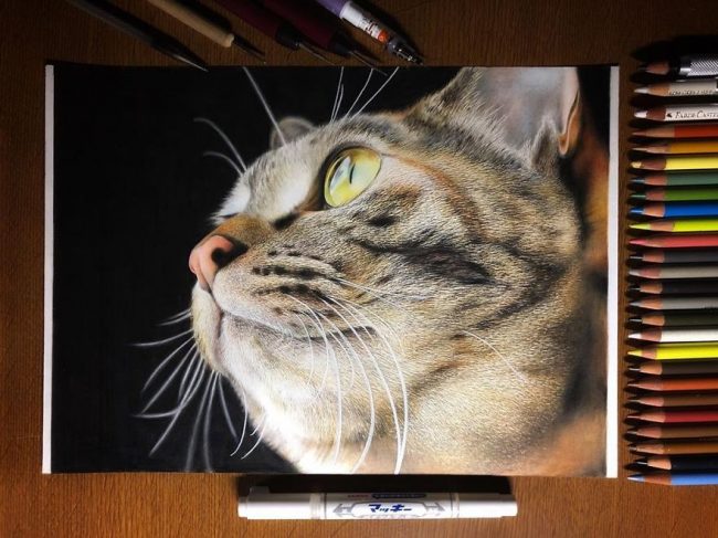 Hyper-Realistic Artworks Of Cats That Are Hard To Believe Aren’t ...