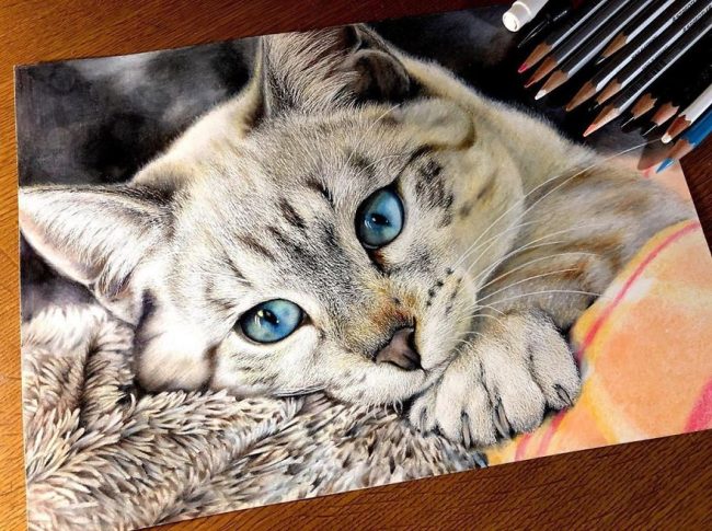 Hyper-Realistic Artworks Of Cats That Are Hard To Believe Aren’t ...