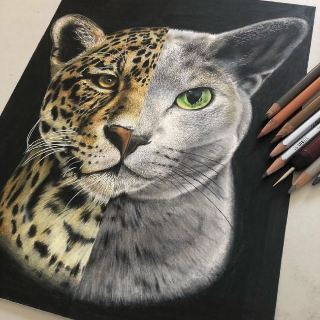 Hyper-Realistic Artworks Of Cats That Are Hard To Believe Aren’t ...