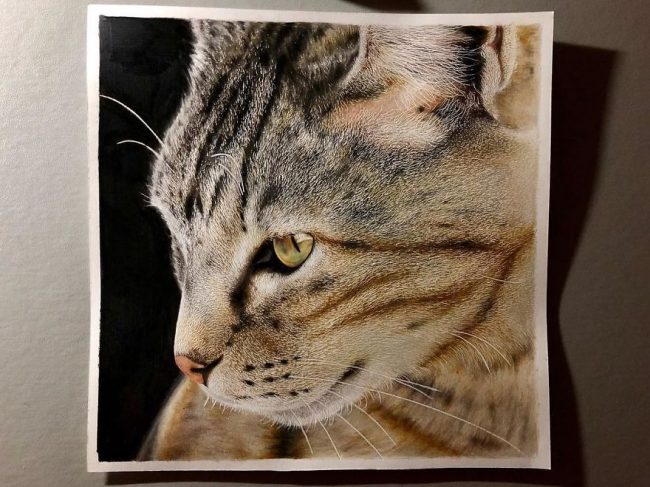 Hyper-Realistic Artworks Of Cats That Are Hard To Believe Aren’t ...