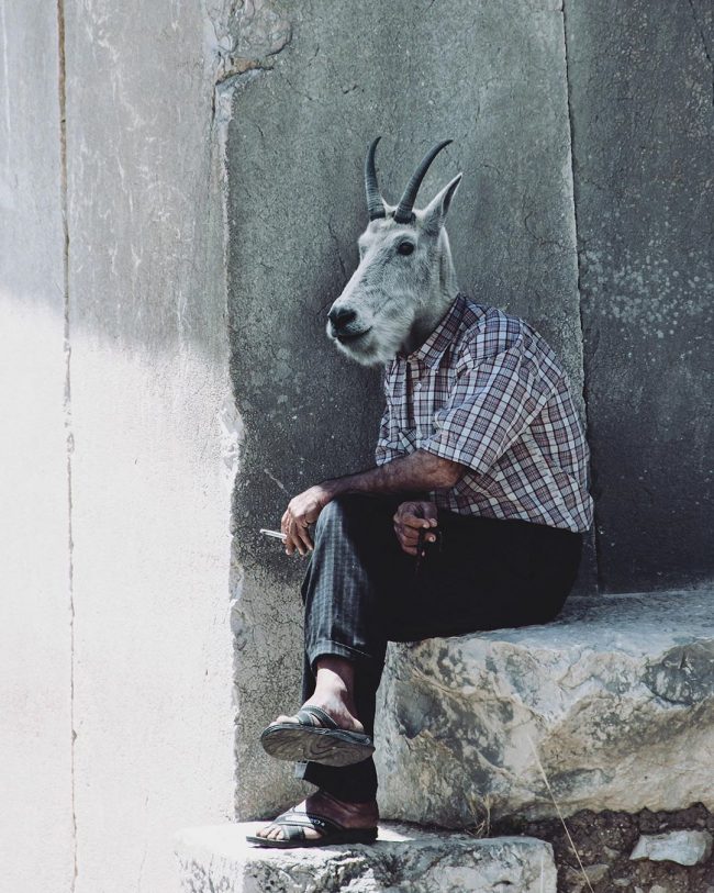 This Artist Blends Human Bodies And Animal Faces Together » Design You ...