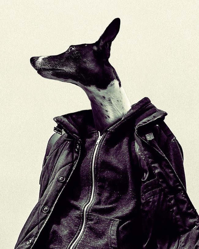 This Artist Blends Human Bodies And Animal Faces Together » Design You ...