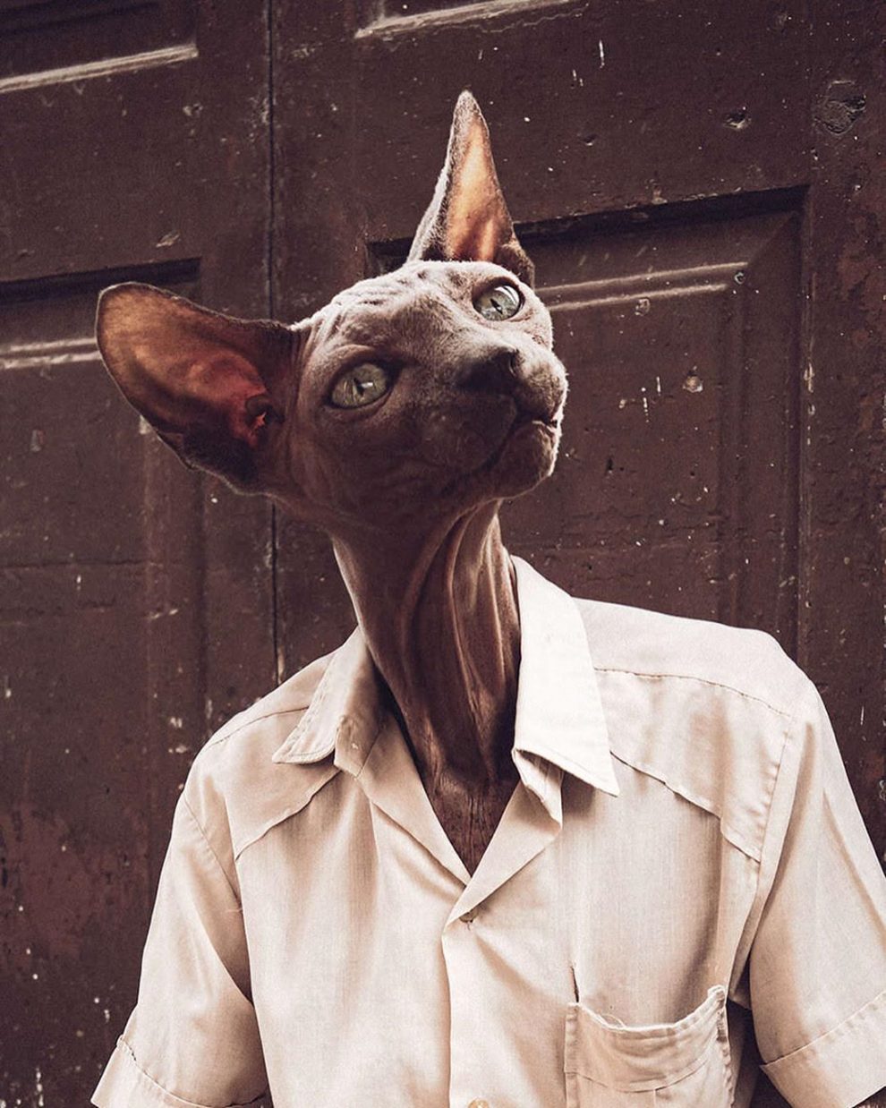 This Artist Blends Human Bodies And Animal Faces Together » Design You ...