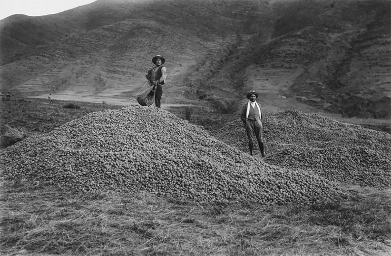 Amazing Vintage Photographs Documented Inca Culture And Life In ...
