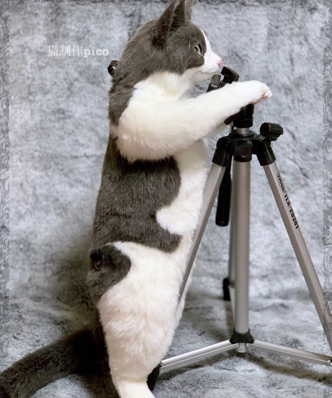 Japanese Designer Crafts Adorably Lifelike Cat Backpack » Design You ...