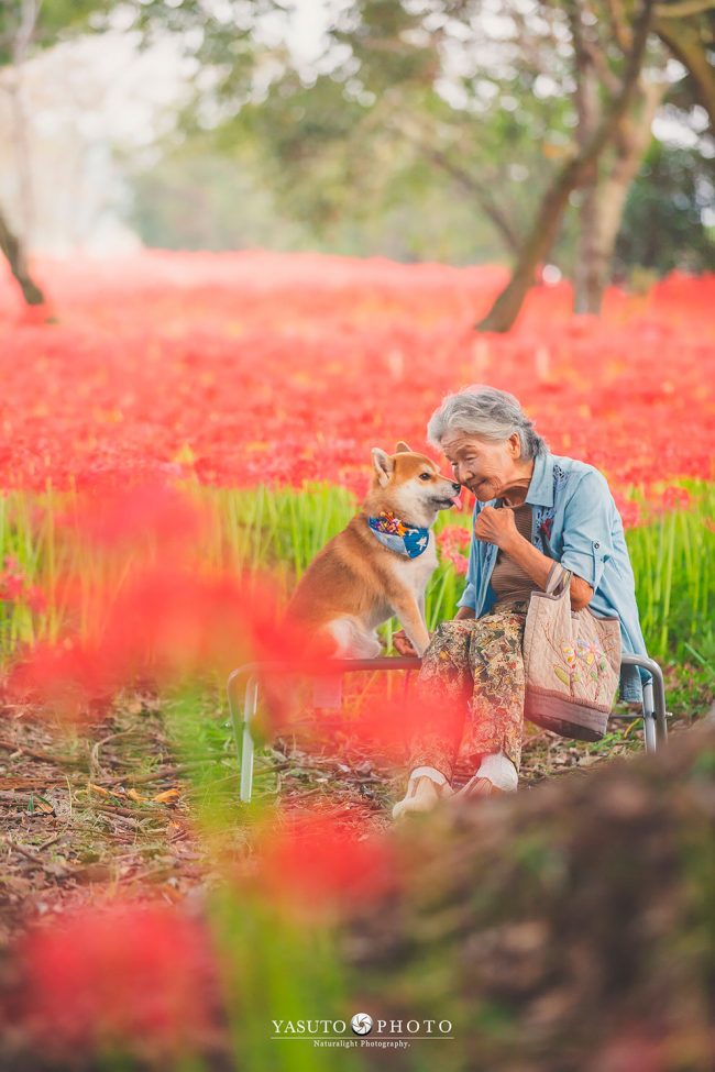 Japanese Photographer Perfectly Captures His Grandmother’s Playful ...