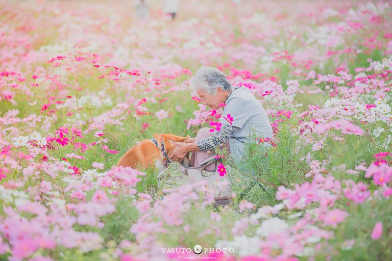 Japanese Photographer Perfectly Captures His Grandmother’s Playful ...