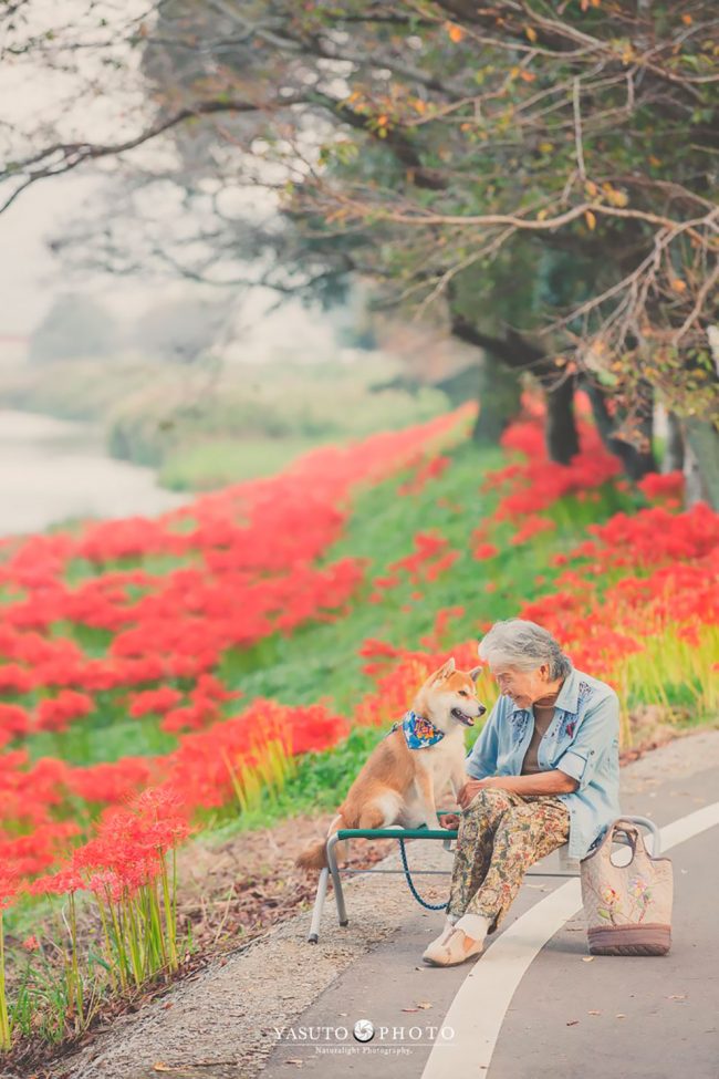 Japanese Photographer Perfectly Captures His Grandmother’s Playful ...