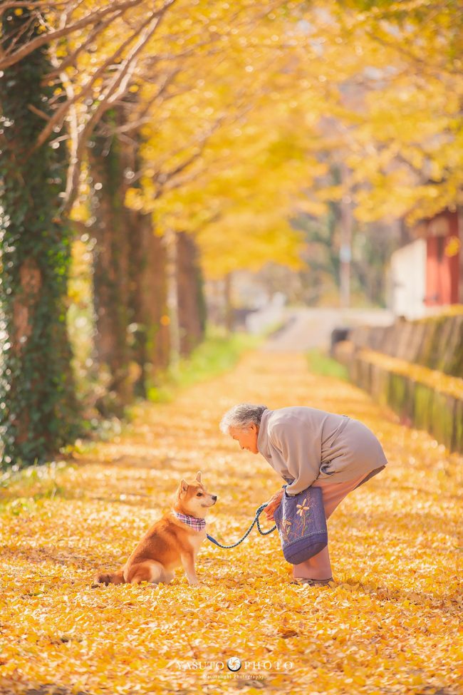 Japanese Photographer Perfectly Captures His Grandmother’s Playful ...