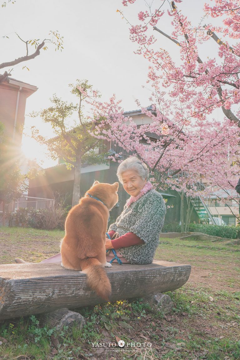Japanese Photographer Perfectly Captures His Grandmother’s Playful ...