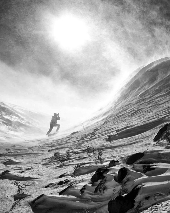 The Passion Of Trees In Pictures By Iranian Photographer Ali Shokri ...