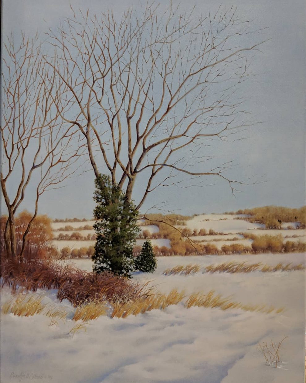 The Uncannily Realistic Landscapes Of Carolyn H. Edlund » Design You ...