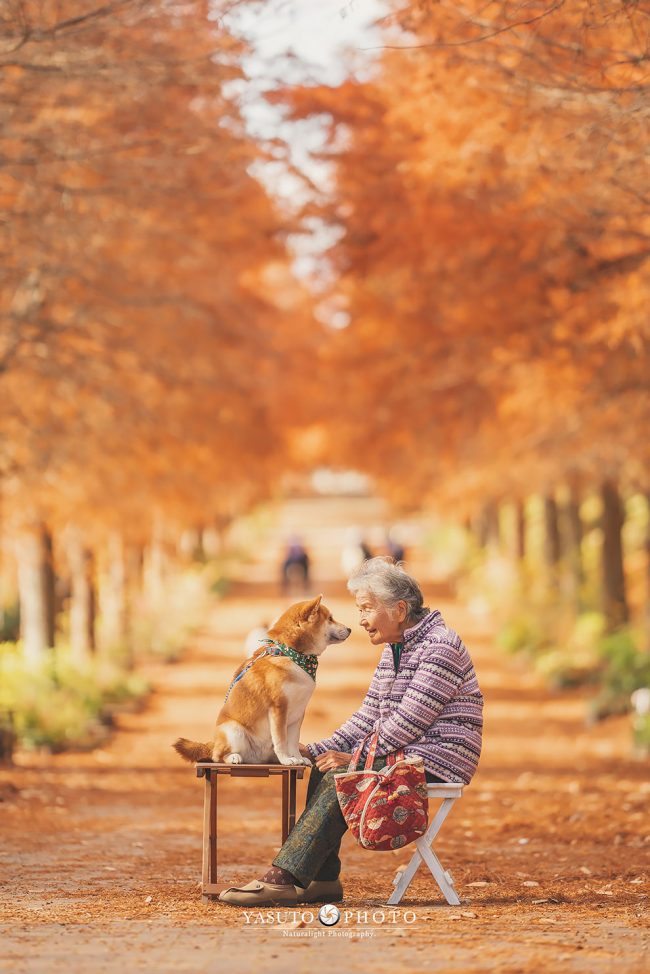 Japanese Photographer Perfectly Captures His Grandmother’s Playful ...