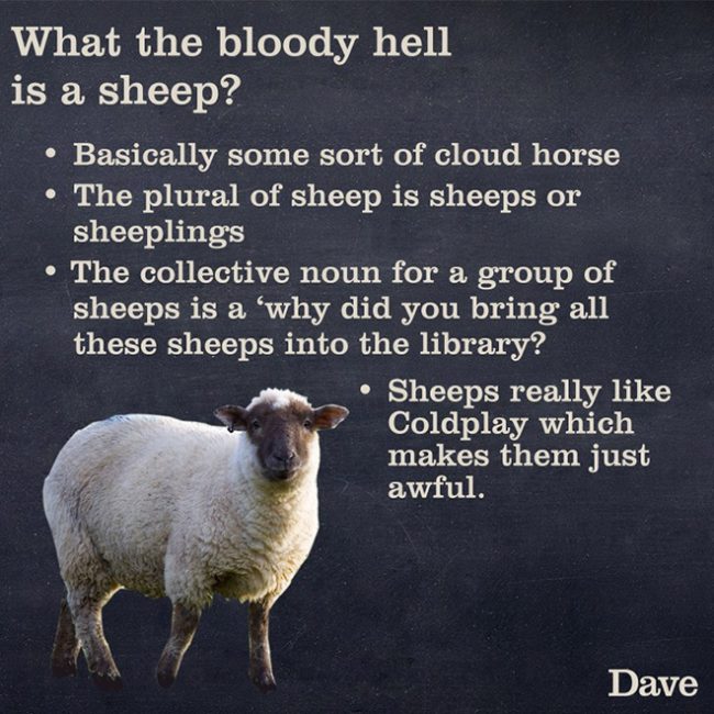 What The Bloody Hell Is A … ?: Brilliant Guide To Animals » Design You ...