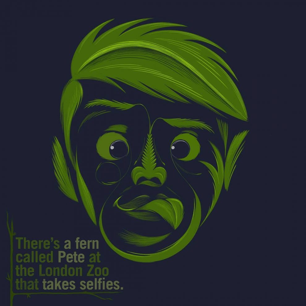 Weekly Graphic News: Graphic Artist Illustrates One International News ...