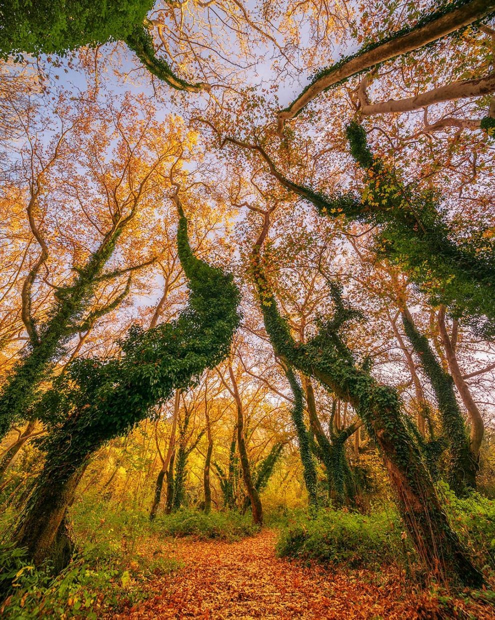 Majestic Natural Landscape Photography By Alexandros Malapetsas ...