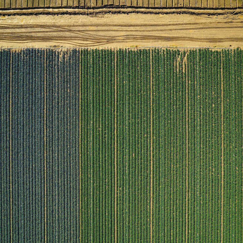 Photographer Mitch Rouse Captures Beautiful Patterns Of Farmland From ...