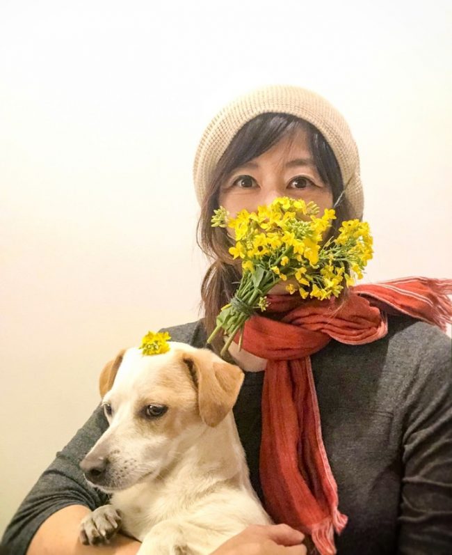 Masks For Dog Walking: This Girl Makes Unusual Face Masks To Keep ...