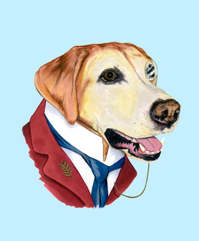 Animals In Suits: Very Well Dressed Animal Portraits By Ryan Berkley ...