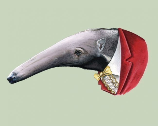 Animals In Suits: Very Well Dressed Animal Portraits By Ryan Berkley ...