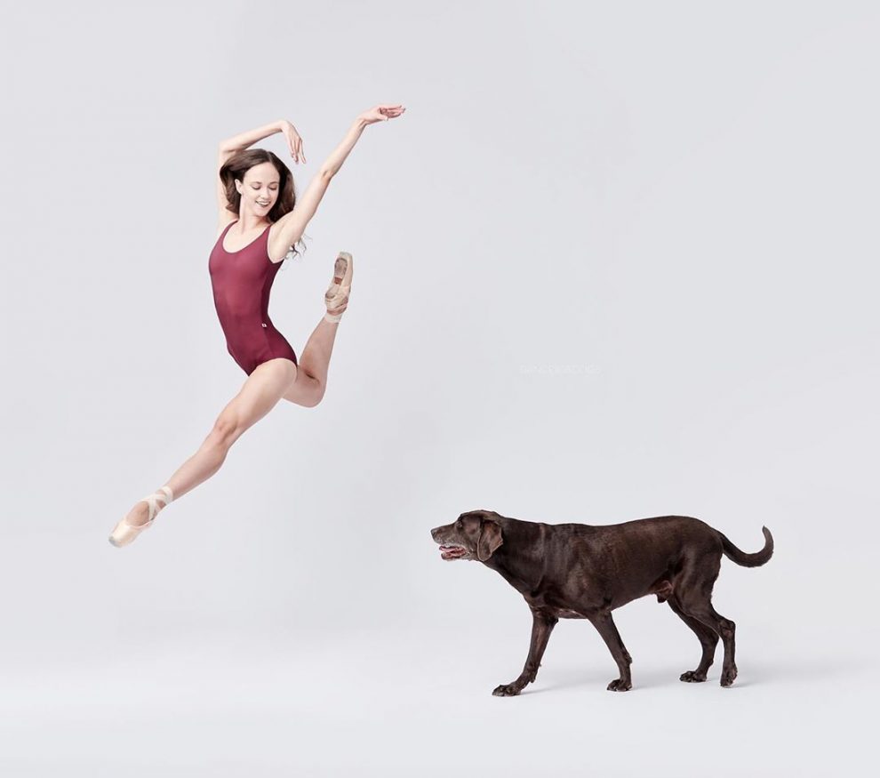 “Dancers & Dogs”: Photographer Duo Captures The Relationship Between ...
