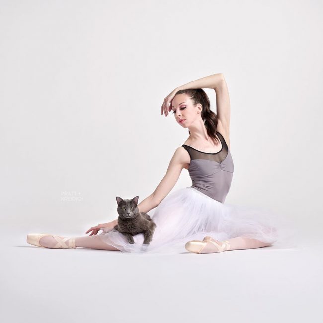 “Dancers & Dogs”: Photographer Duo Captures The Relationship Between ...