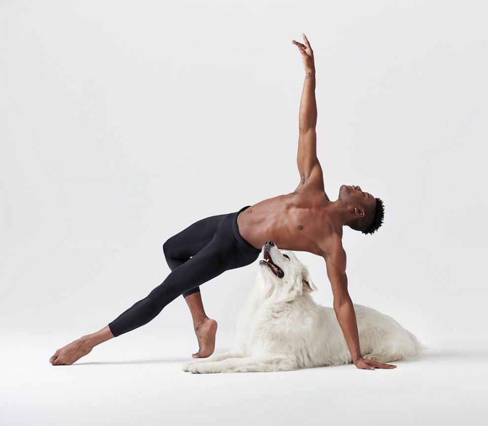 “Dancers & Dogs”: Photographer Duo Captures The Relationship Between ...