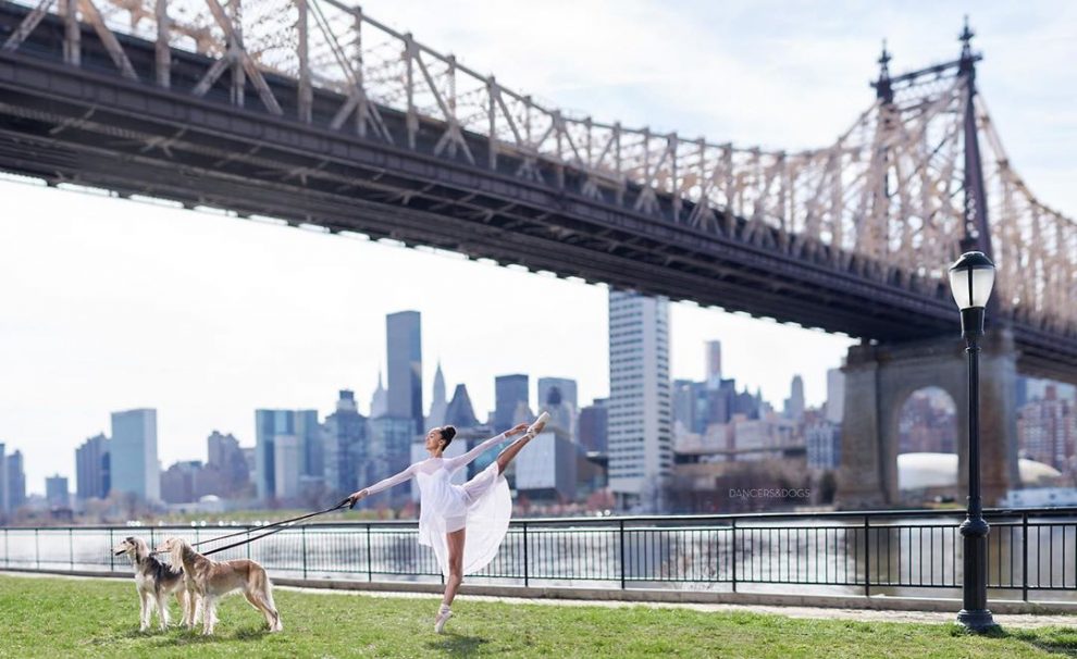 “Dancers & Dogs”: Photographer Duo Captures The Relationship Between ...