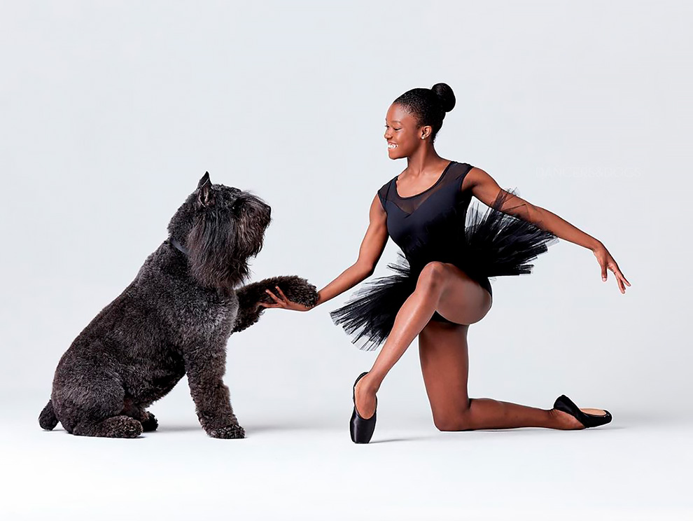 “Dancers & Dogs”: Photographer Duo Captures The Relationship Between ...