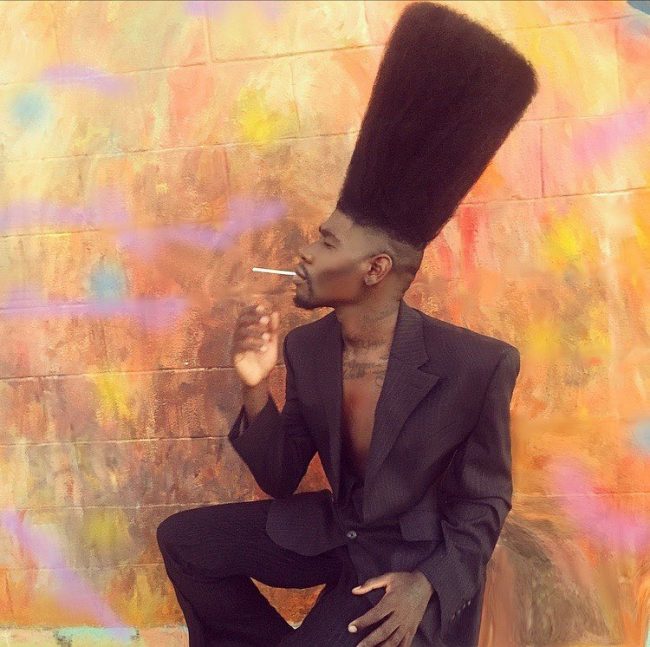 Benny Harlem And His Record-Breaking Hair » Design You Trust — Design ...