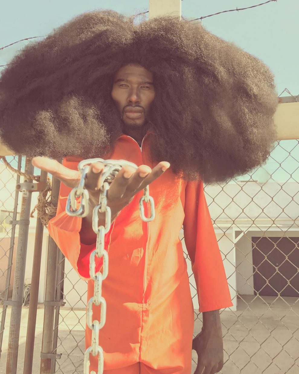 Benny Harlem And His Record-Breaking Hair » Design You Trust — Design ...