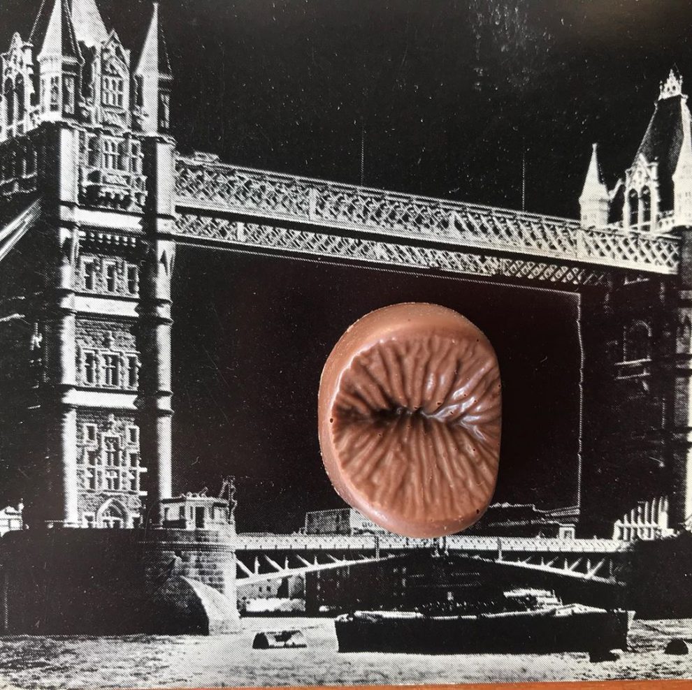 Edible Anus Company Makes Chocolate Buttholes, And People Are Actually ...