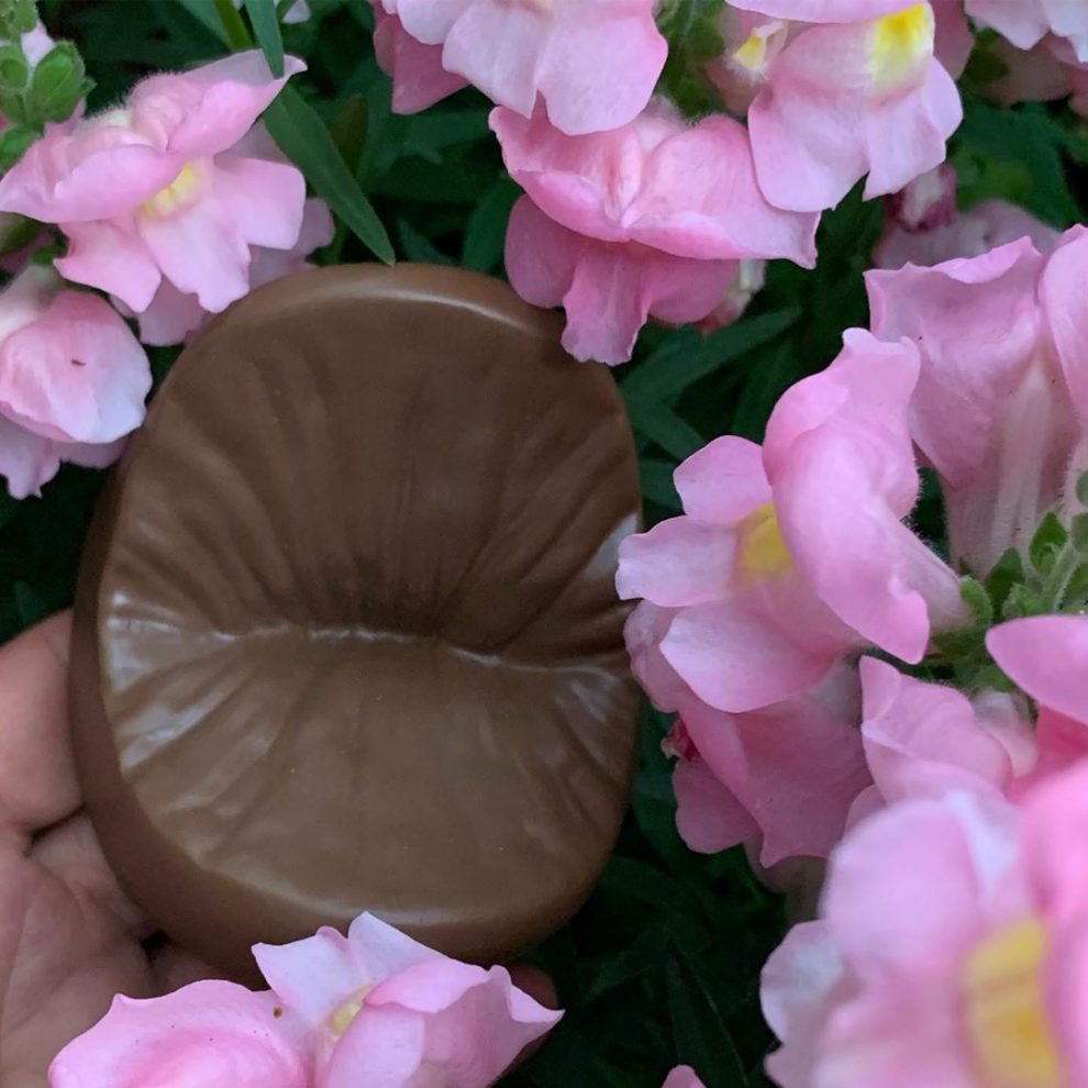 Edible Anus Company Makes Chocolate Buttholes, And People Are Actually ...