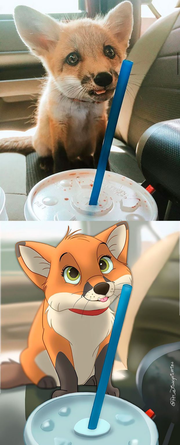 Dutch Illustrator Transforms Pets Into Adorable Disney Characters ...