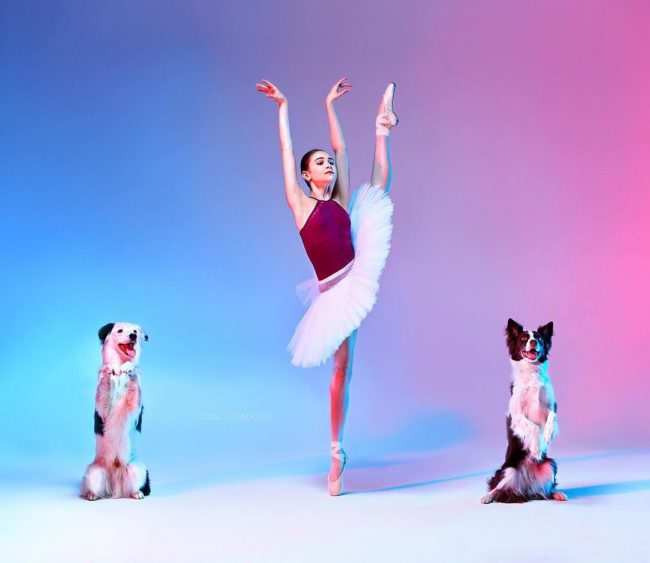 “Dancers & Dogs”: Photographer Duo Captures The Relationship Between ...