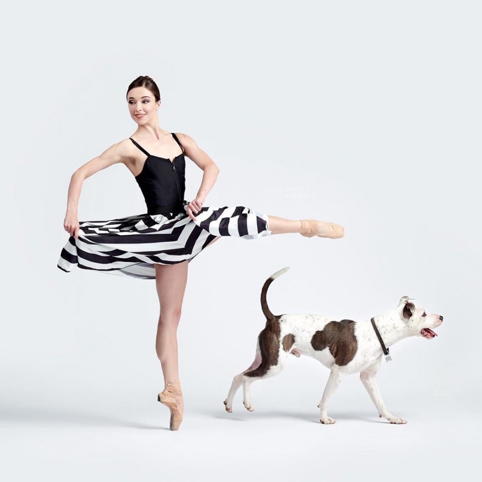 “Dancers & Dogs”: Photographer Duo Captures The Relationship Between ...