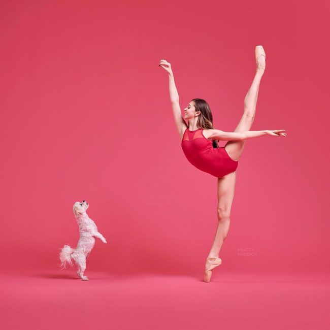 “Dancers & Dogs”: Photographer Duo Captures The Relationship Between ...