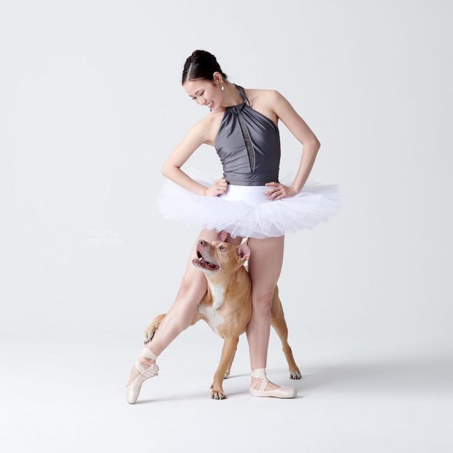 “Dancers & Dogs”: Photographer Duo Captures The Relationship Between ...