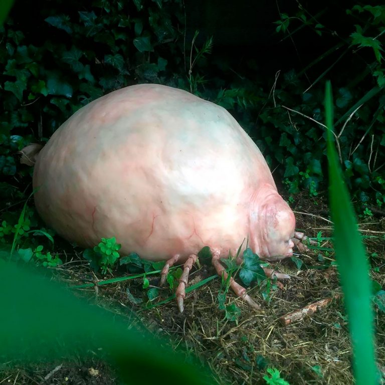 Unbelievable Creepy Hyper Realistic Creatures By Laira Maganuco ...