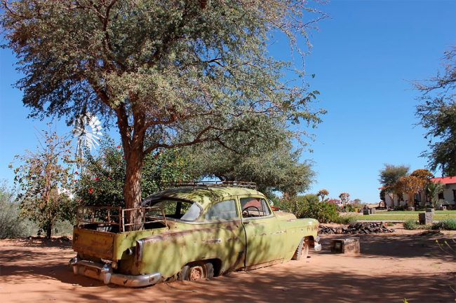 Amazing Photographs Of Trees Growing Through Classic Cars » Design You ...
